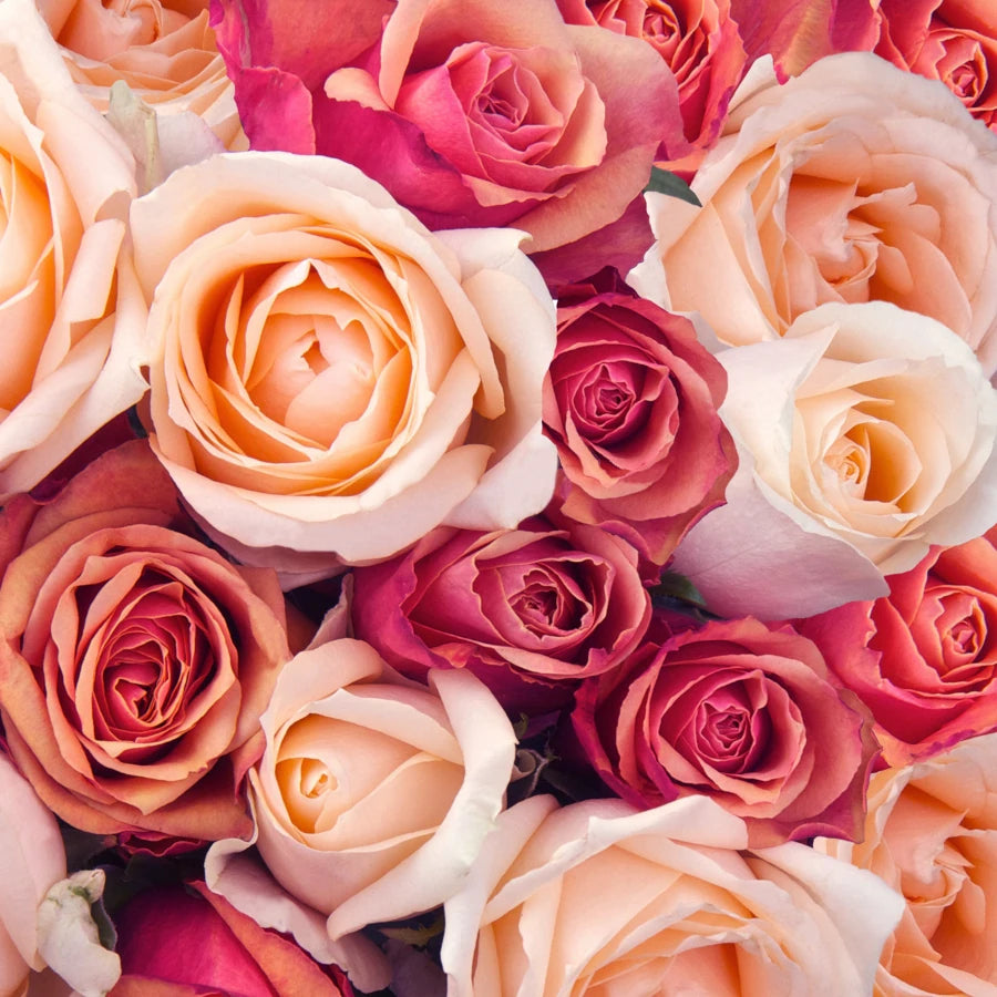 Bohemian Rose Fragrance Oil – Scented Flame Candle Supply