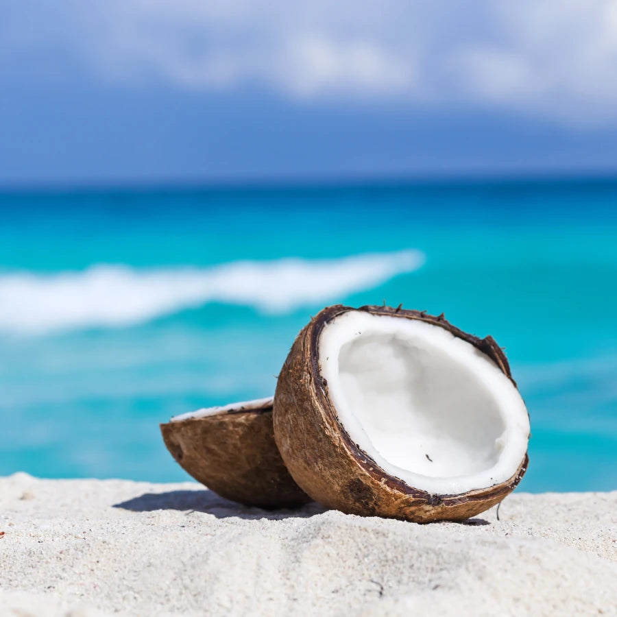 Tropical Coconut Fragrance Oil – Scented Flame Candle Supply